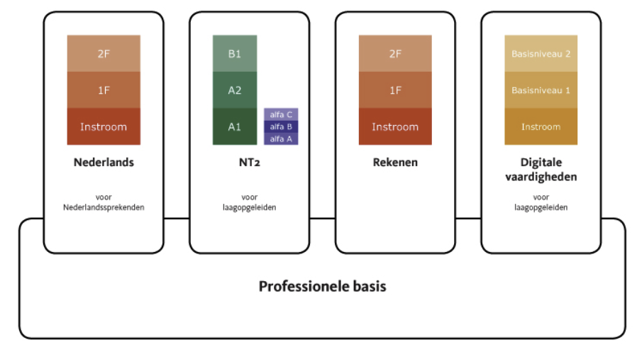 Expertisenetwerk Bèta Onderwijs | Raamwerk docent basisvaardigheden